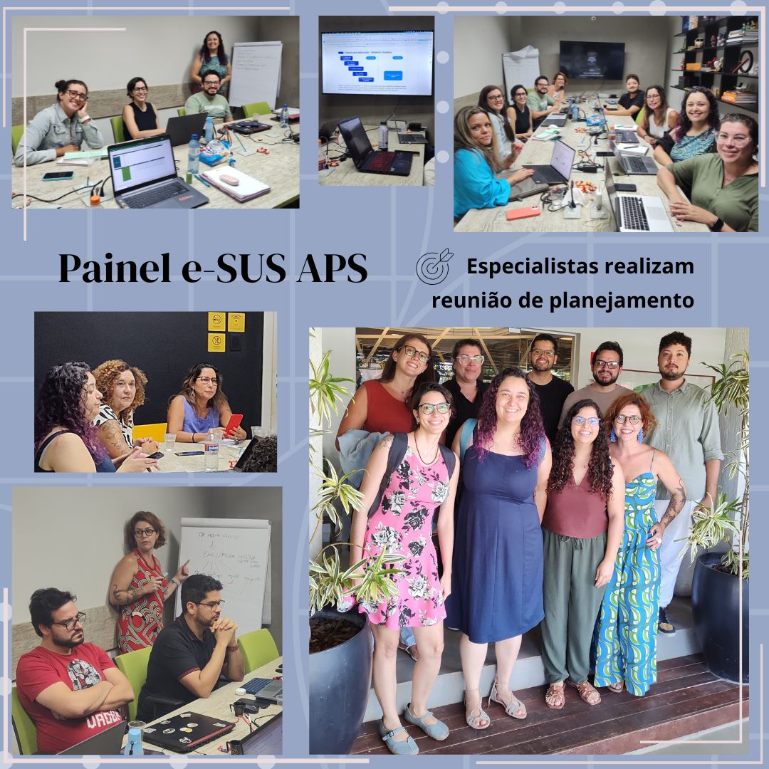 Painel e-SUS APS: Especialistas realizam reunião de planejamento | Campus Virtual Fiocruz